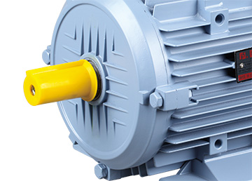 MSE2 & MSE3 Series Three Phase Aluminum High Efficiency Motor