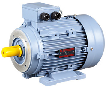 MS Series Three Phase Aluminum Asynchronous Motor