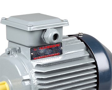 Y2 Series Three Phase Cast Iron Housing Motor